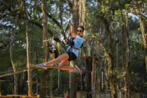 23 Ziplining in FLORIDA (Stomach-Dropping, Spectacular, & Captivating)