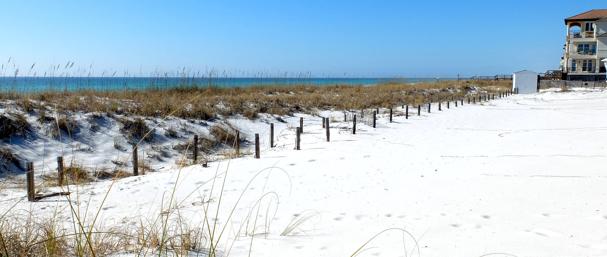 23 Beaches in FLORIDA (Tropical, Scenic, & Sun-Kissed)